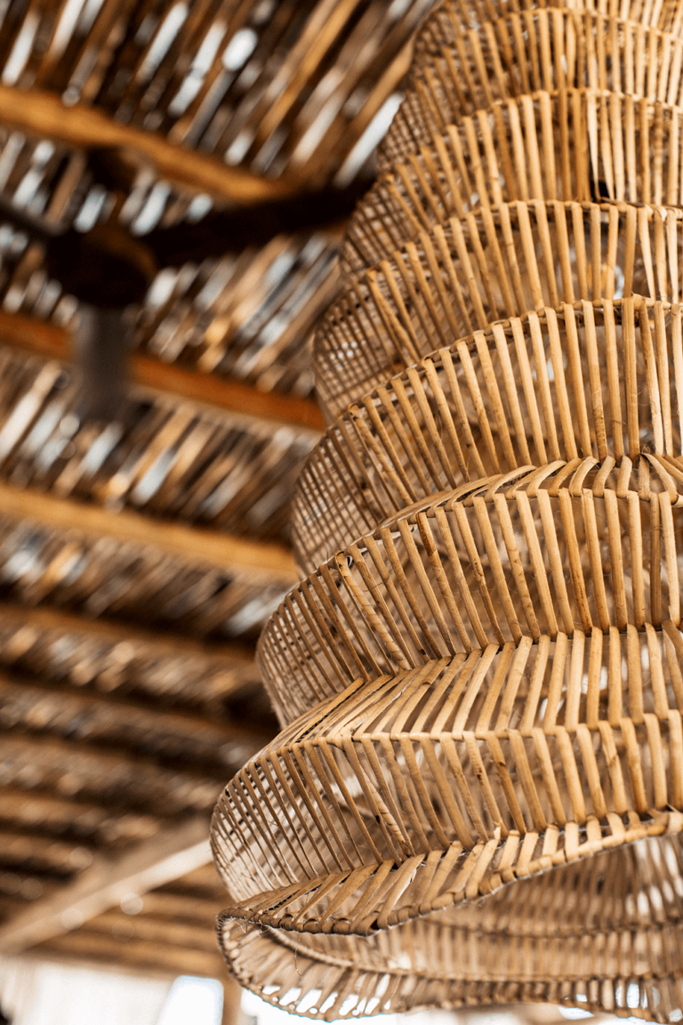 Ánima – Grupo Alme